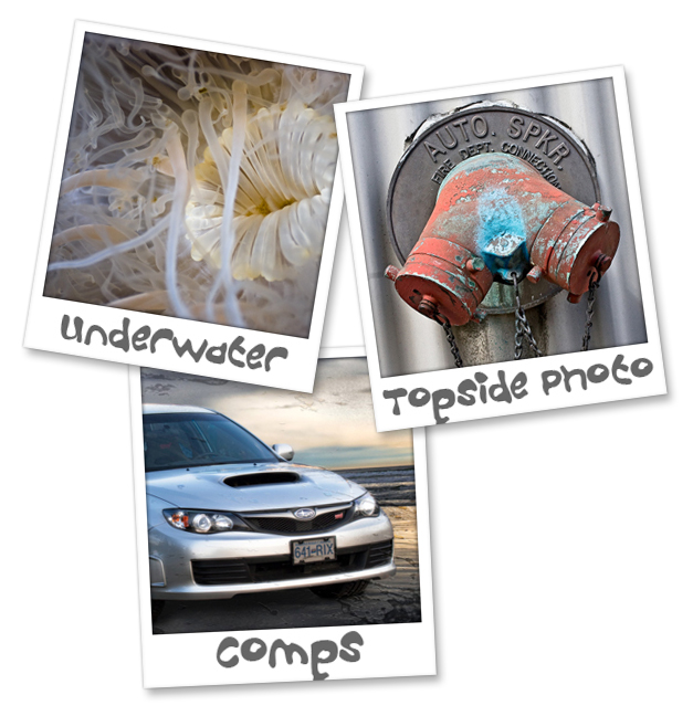 John Rix: Select Photo Category